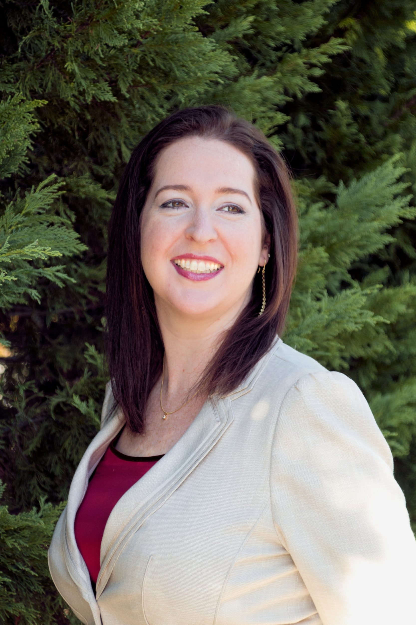 Steele Law Firm - The Meridian Real Estate Group | Georgia Real Estate